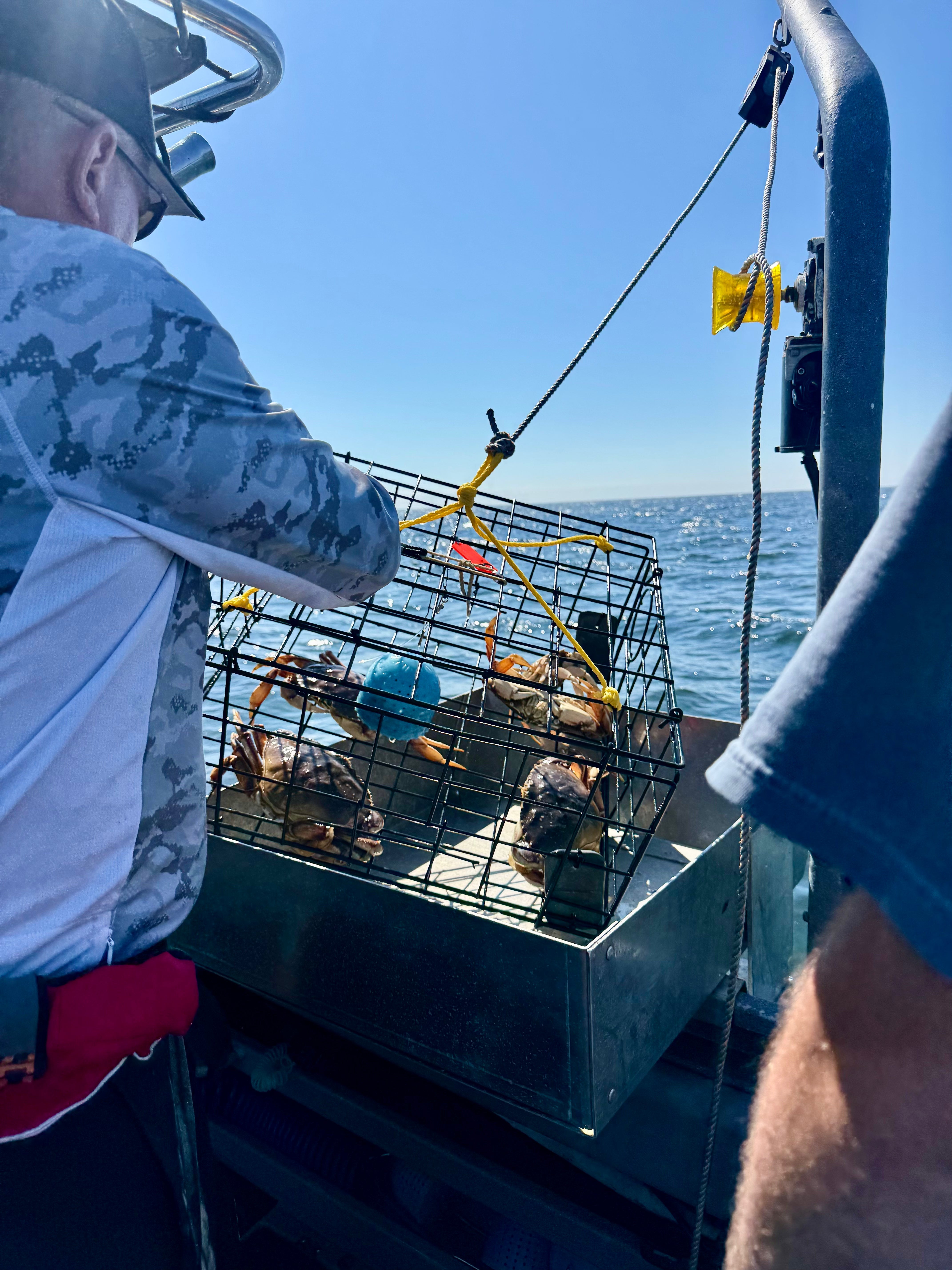 The Best Crab Bait: What Really Works on the Oregon Coast – Oregon Lure